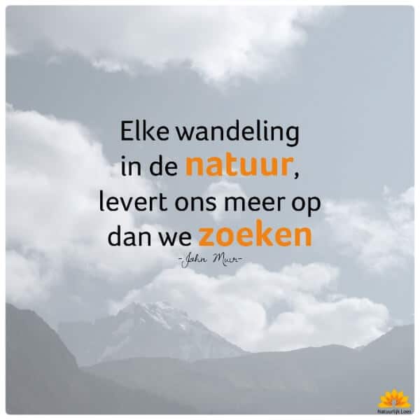 Wat een wandeling in de natuur met je doet | Natuurlijk Loes